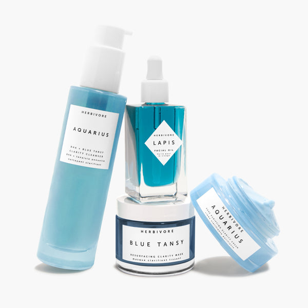 Aquarius Pore Purifying Clarify Cream | Herbivore Botanicals