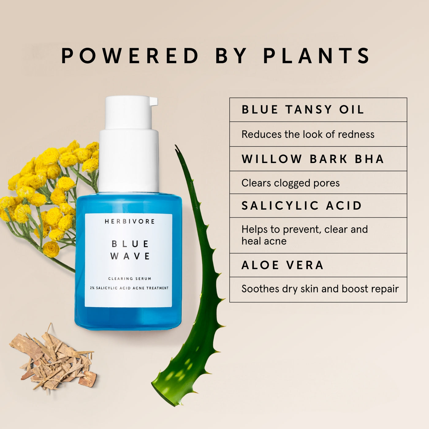 BLUE WAVE 2% Salicylic Acid Medicated Acne Clearing Serum