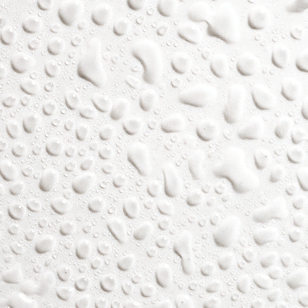 COCO ROSE Coconut + Tremella Milky Body Mist – Herbivore Botanicals