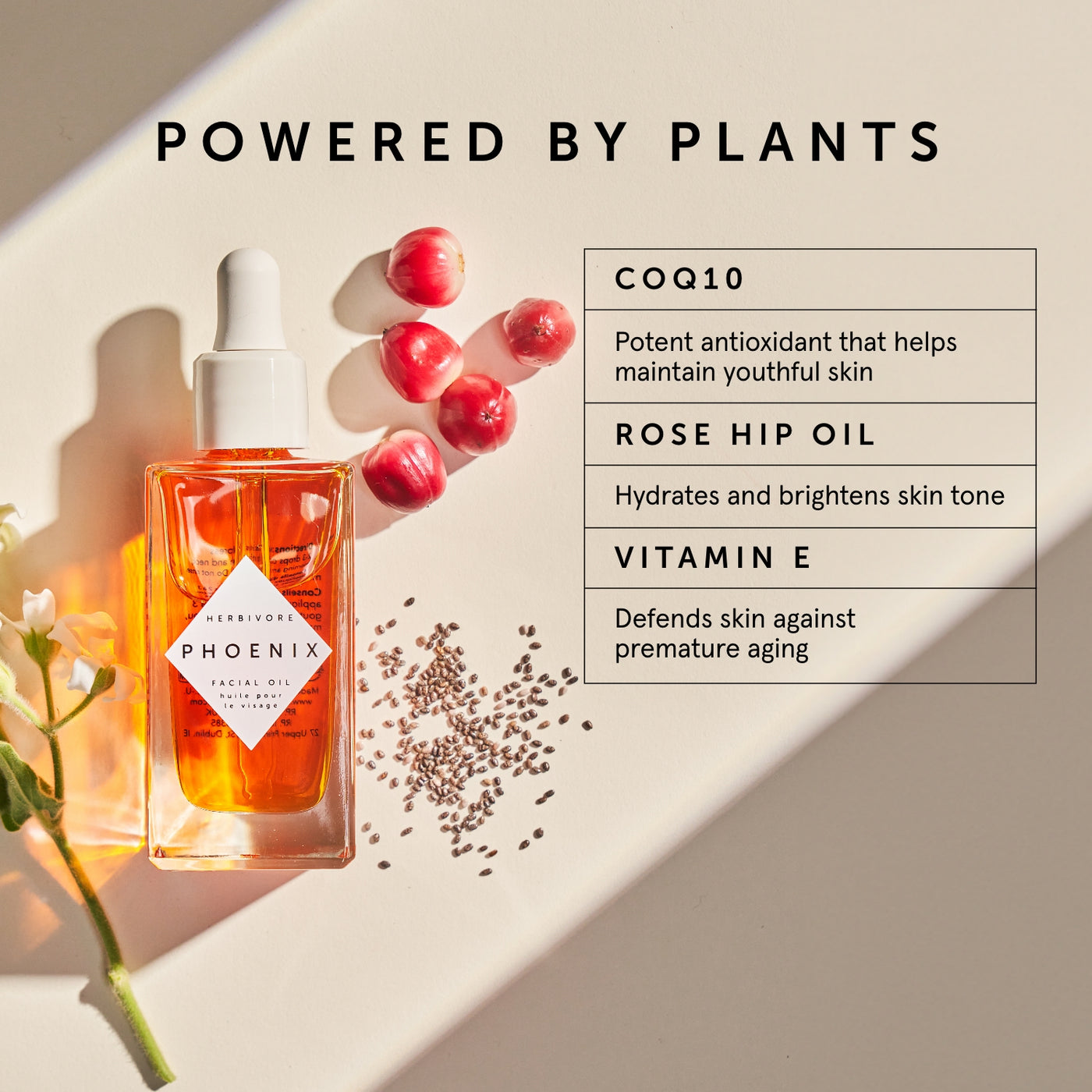 Phoenix Rosehip Anti-Aging Face Oil | For Dry Skin